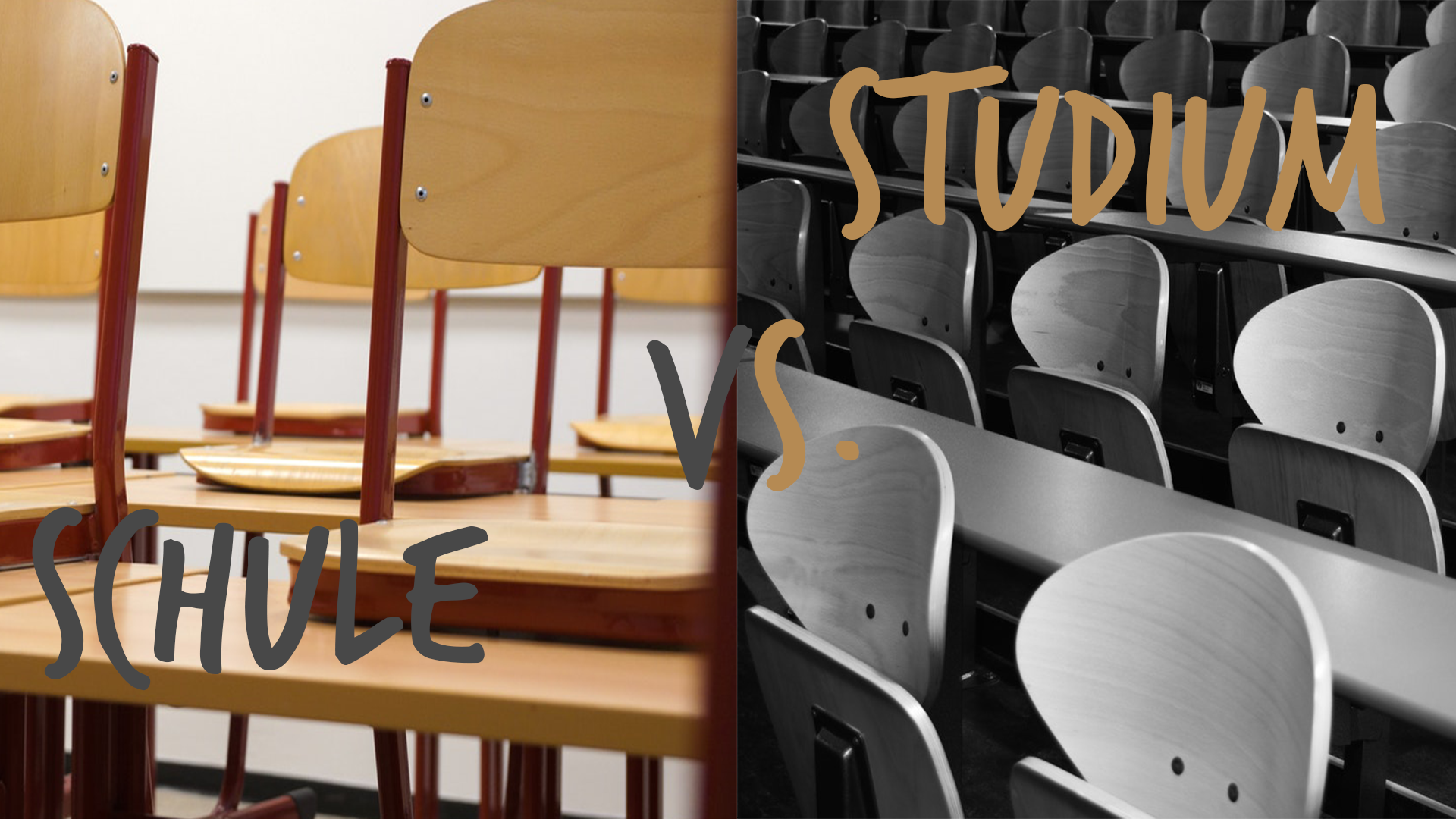 Bild Beitrag | Motiviert Studiert